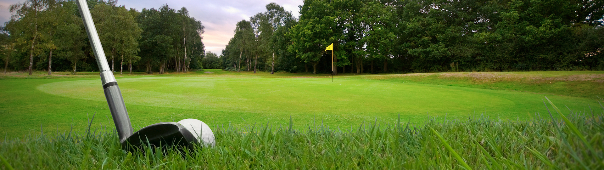 Voor wie is het - iGolf ECLECTIC